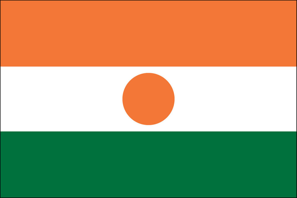 Niger Flag – Colonial Flag